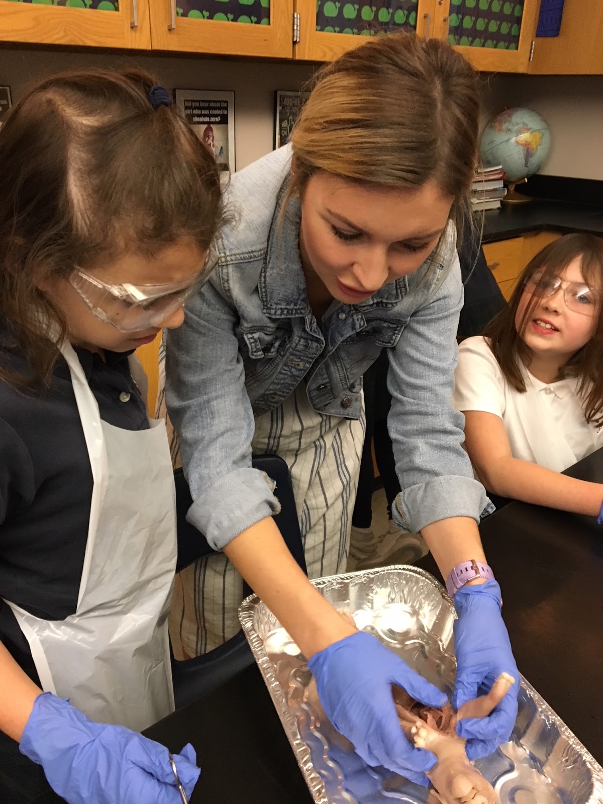 The Uptown Acorn: The Life of a Science Educator {Dissecting Pigs}