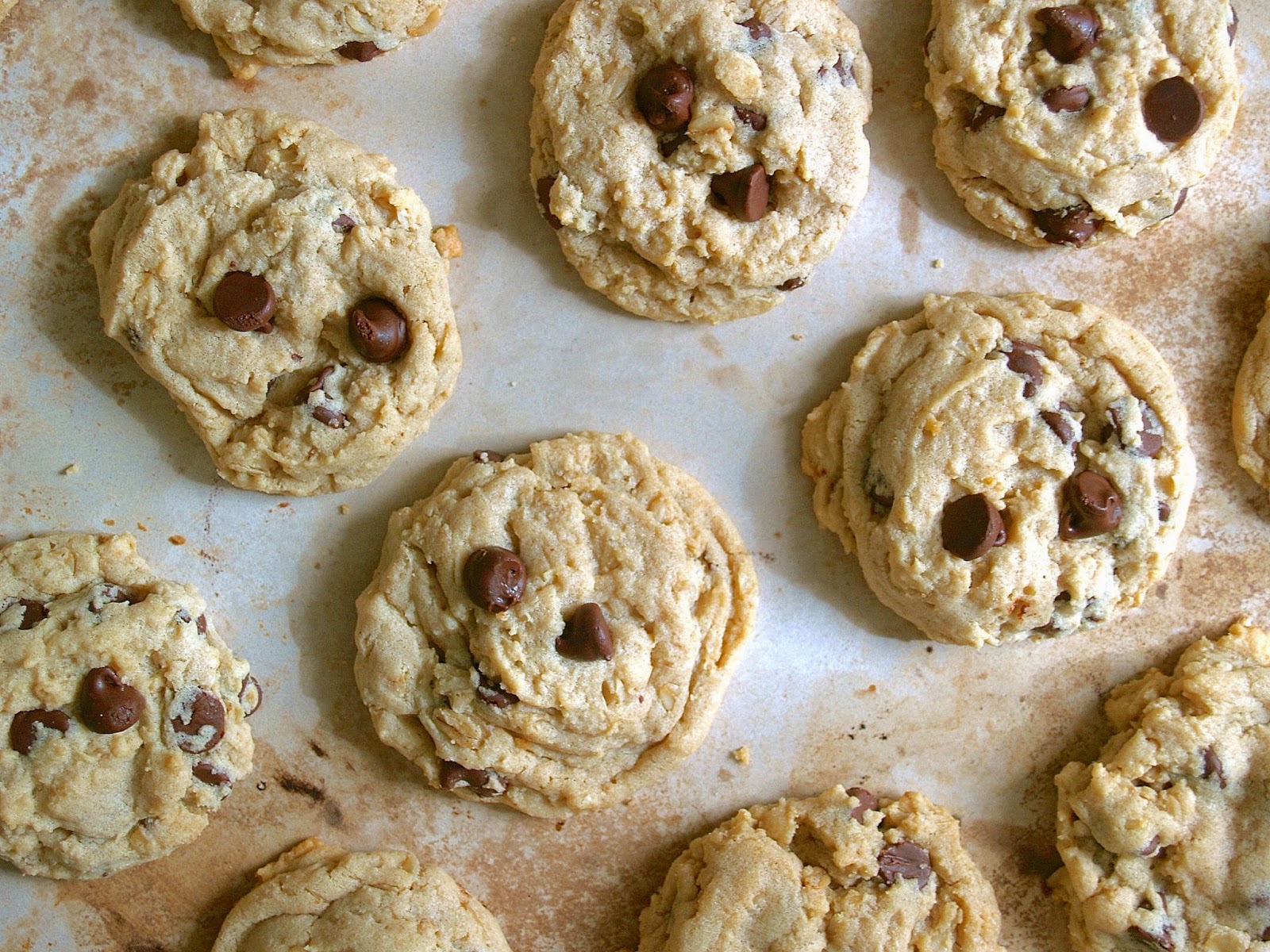 Hungry Hungry Highness: Chocolate Chip Peanut Butter Oatmeal Cookies