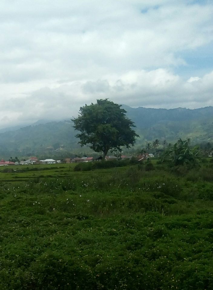 Perang Semurup - Siulak, Catatan Sejarah Kerinci yang Hampir Terlupakan