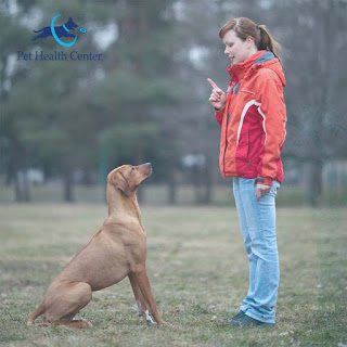 Dog Obedience Training Principles ~ Pet Health Center