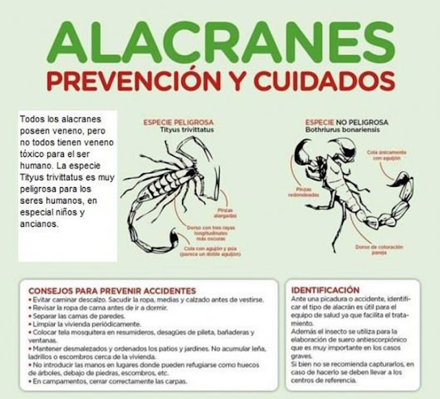 BIBLIOTECA POPULAR ROTARIA: Alacranes