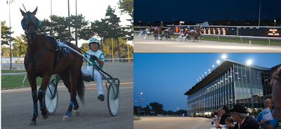 Michigan 1001 Daily Photo: Harness Racing at Hazel Park
