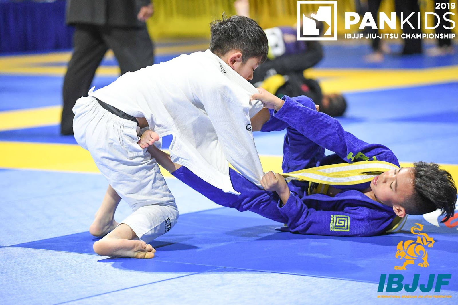 BJJ ONE NEWS: PAN KIDS 2019