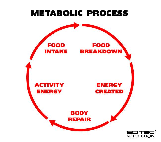 Ways to Boost Your Metabolism for Fat Loss