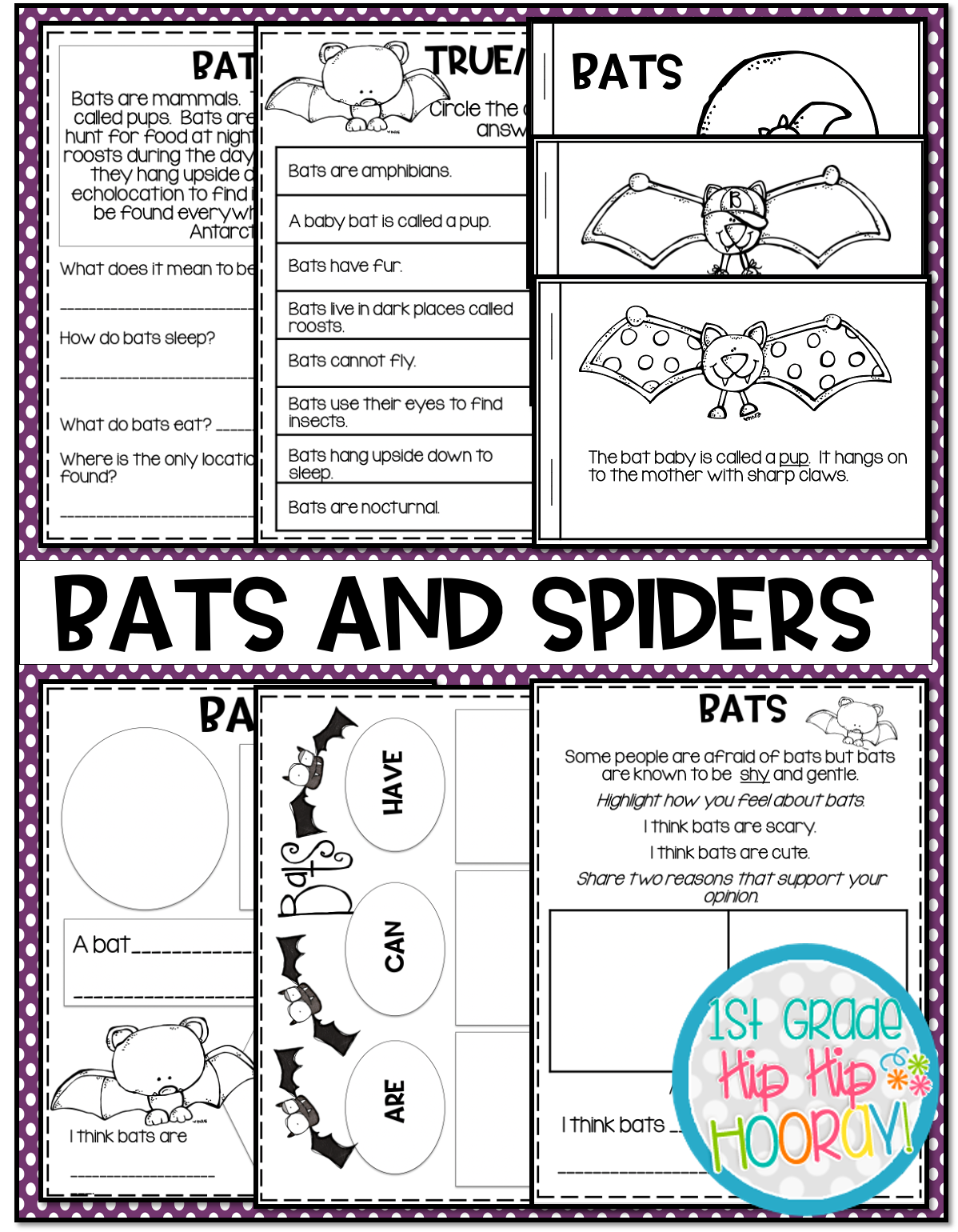 1st Grade Hip Hip Hooray!: Using Informational Text to Read and Write ...