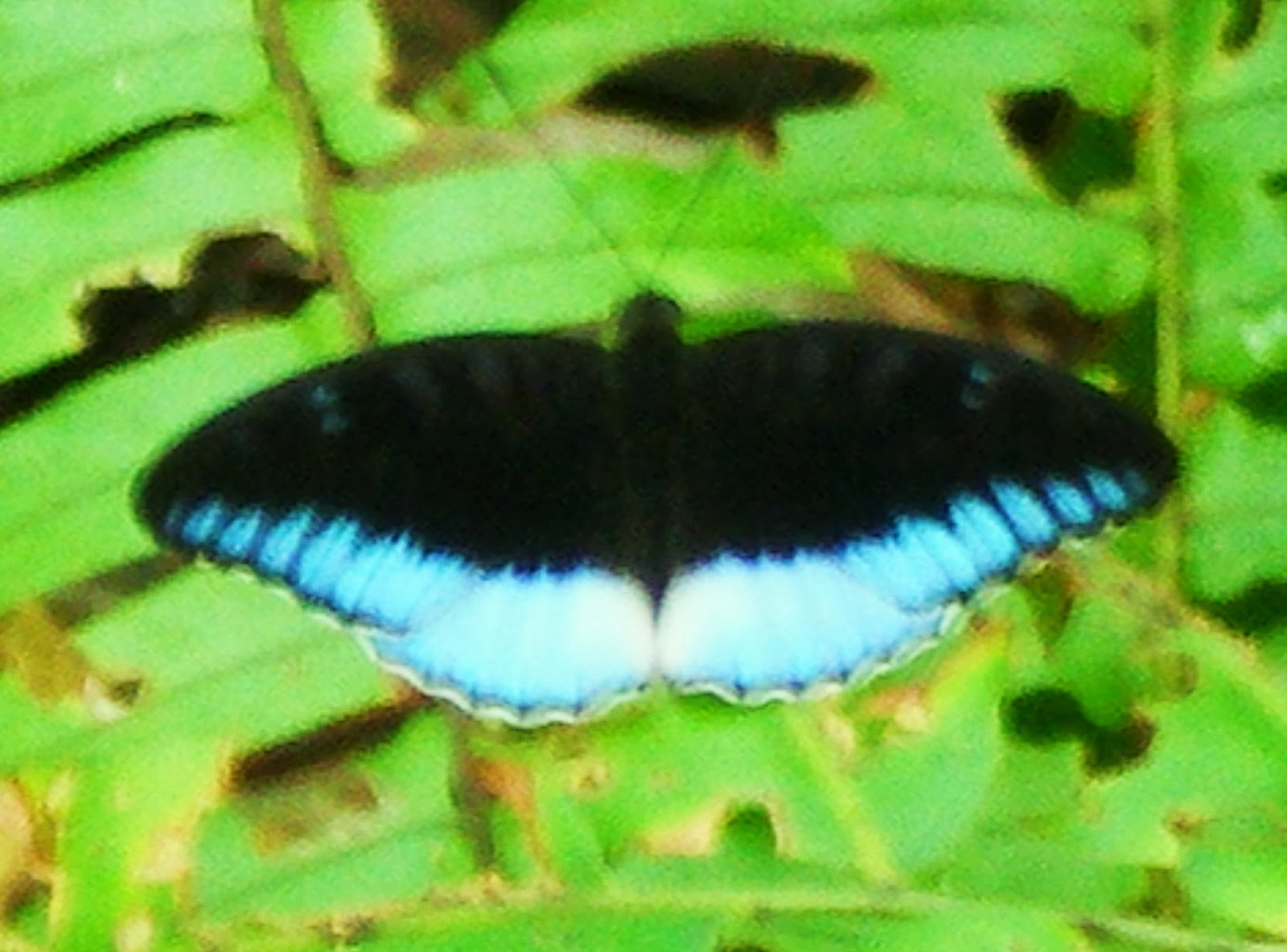 My Life as Civil Engineer