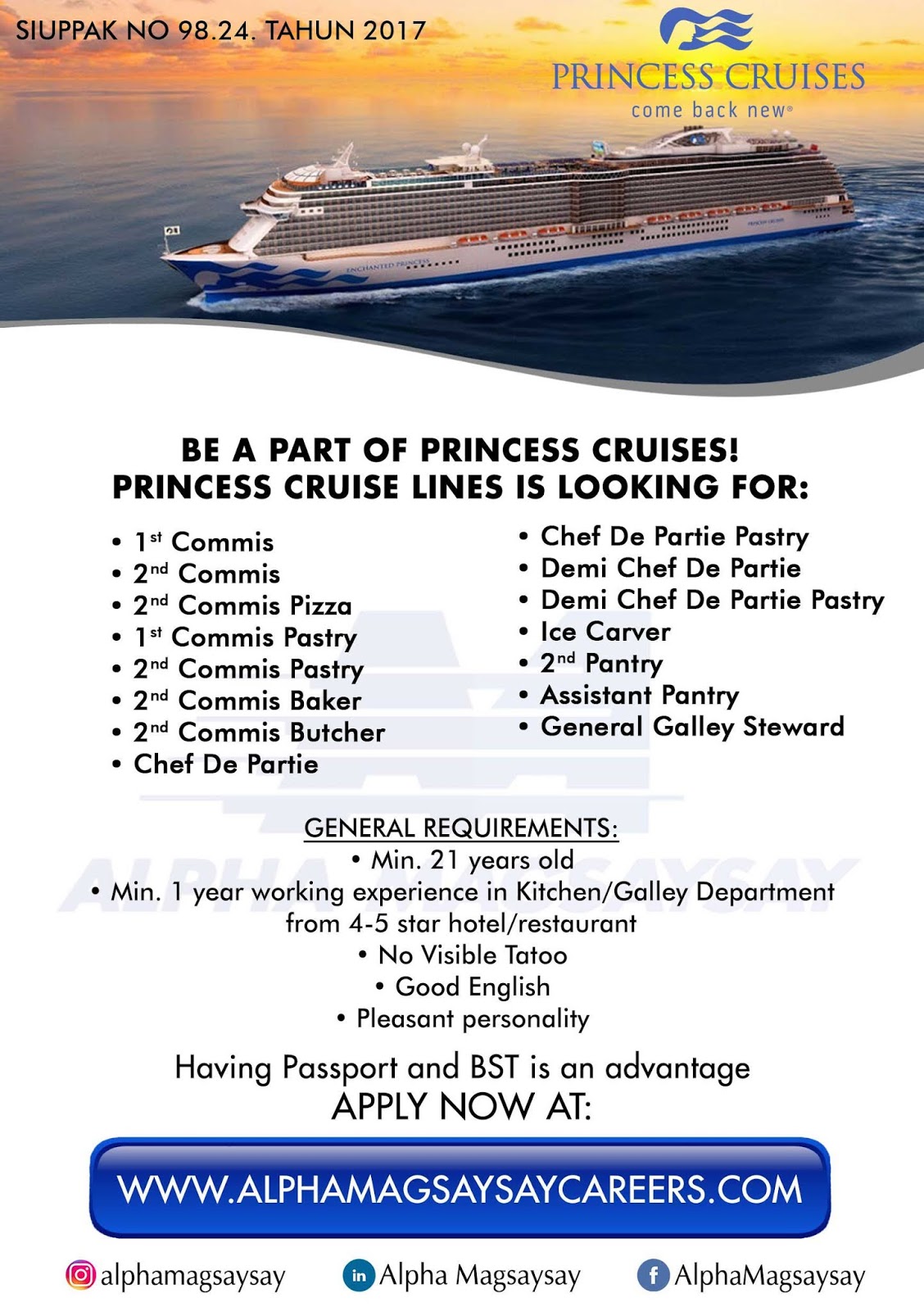 Princess Cruise Printable Application Form - Printable Forms Free Online