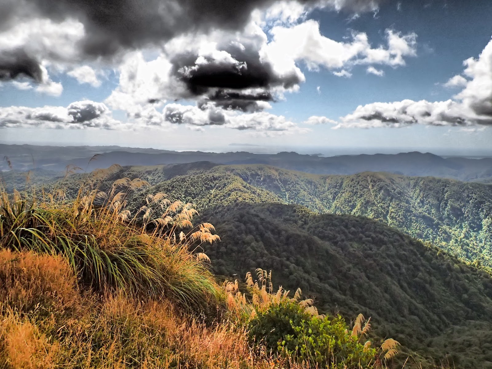 All Things Visible...: Te Aroha, New Zealand