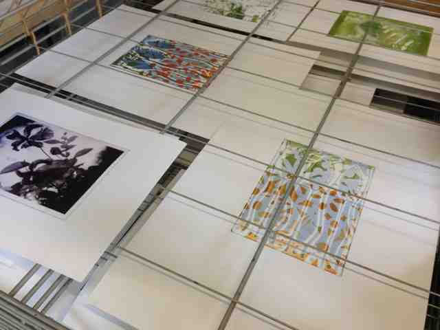 Suzi Thompson printmaker: Solar Plate print workshop.....