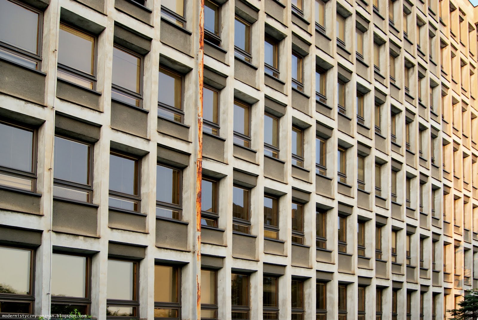 Modernistyczny Poznań: Collegium Novum - funkcjonalizm, ale czy udany?