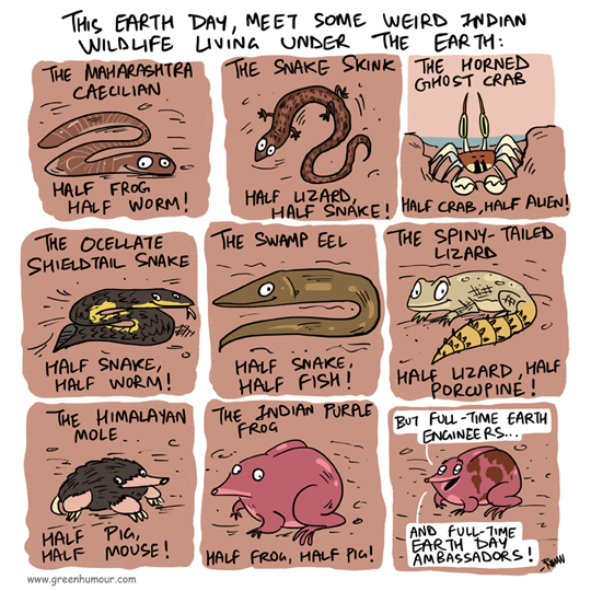 Green Humour: Earth Day with Underground Weirdos