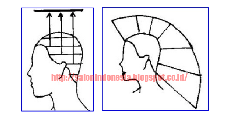 Salon: Pemangkasan increase layer pola pangkas tunggal garis pola ...