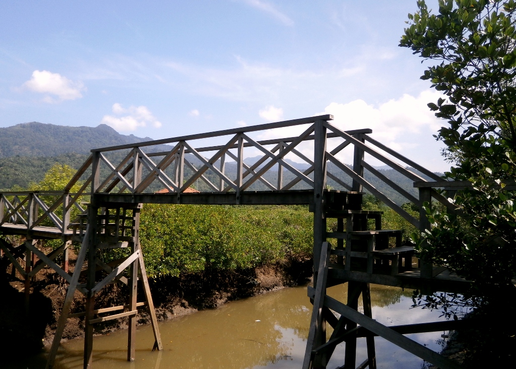 dolandolen: Taman Mangrove dan Jembatan Cengkrong Trenggalek
