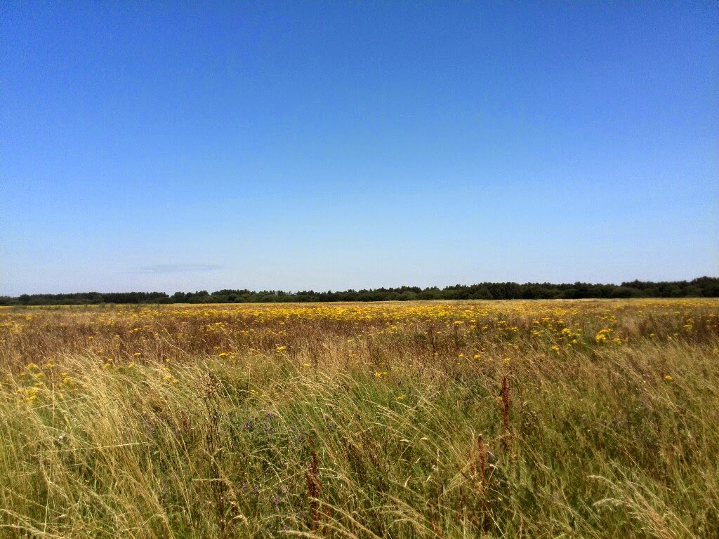 Climbin' Ovver: Afternoon walk: Thorne Moors