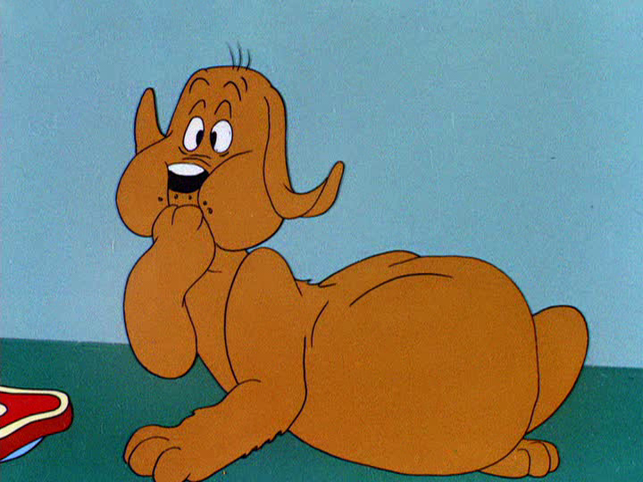 Shep from Fresh Airedale