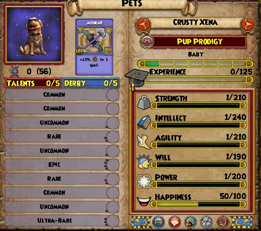 Stars of the Spiral: Newest Release! Wizard101 Pet Trainer Bundle