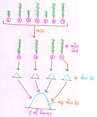Breeding Methods in Self Pollinated Crops