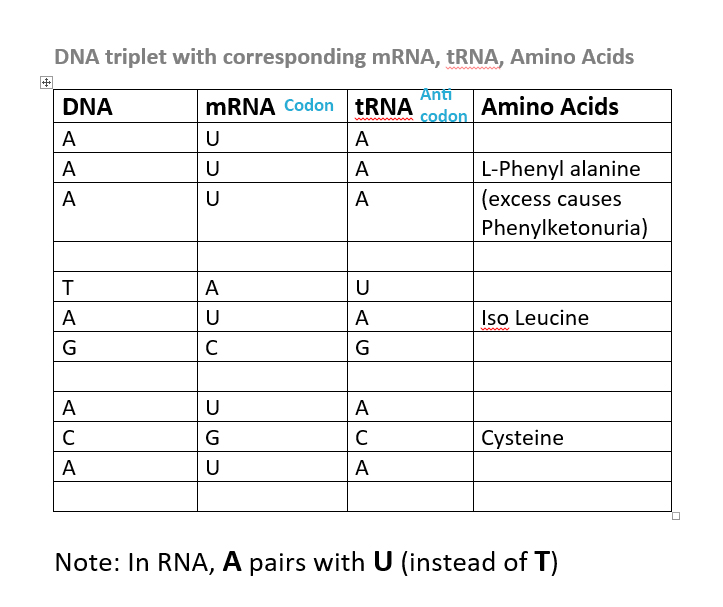 Science Doing: Genetic code, Codon, Anti Codon, expression in ...