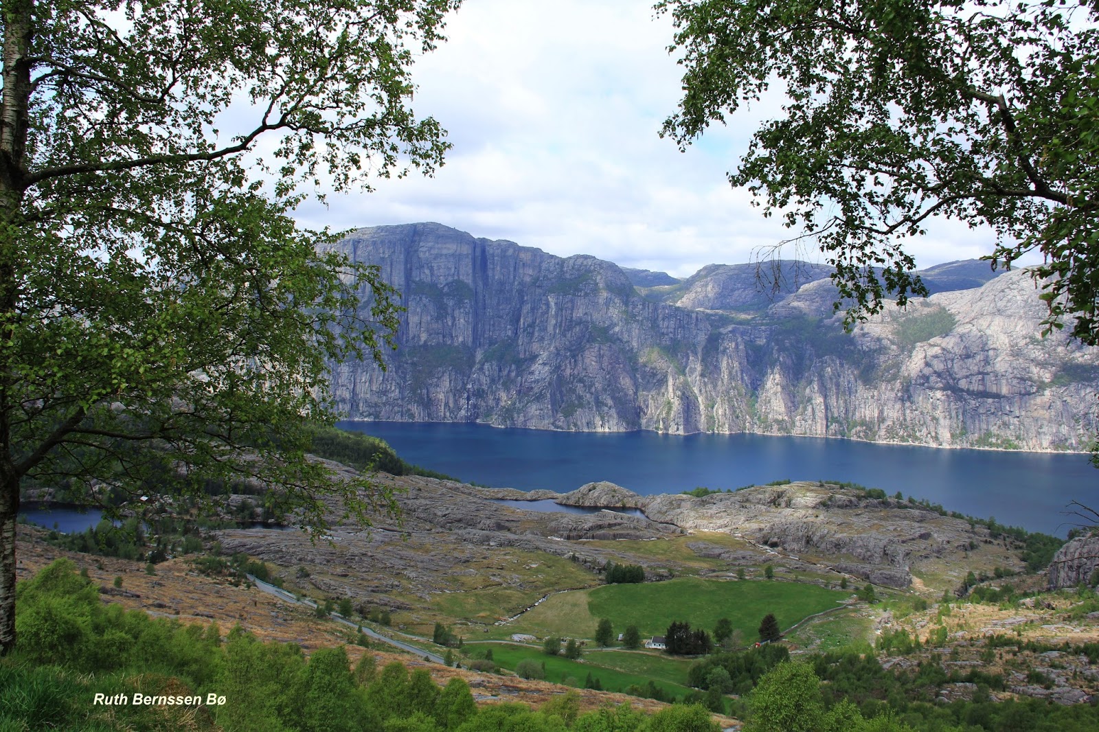 solsikken: Fossmark. Forsand Kommune