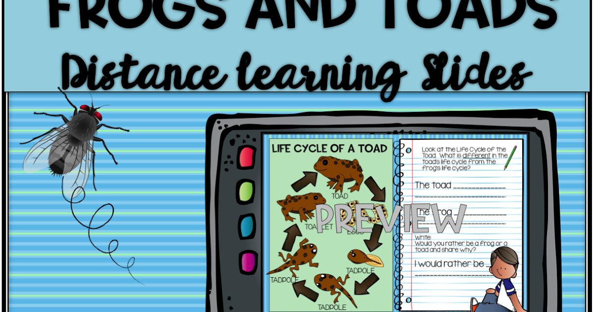 1st Grade Hip Hip Hooray!: Frogs and Toads ... Distance Learning and ...
