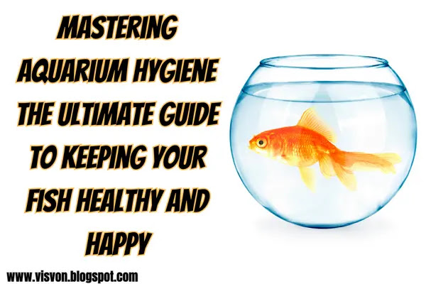 Mastering Aquarium Hygiene: The Ultimate Guide to Keeping Your Fish ...