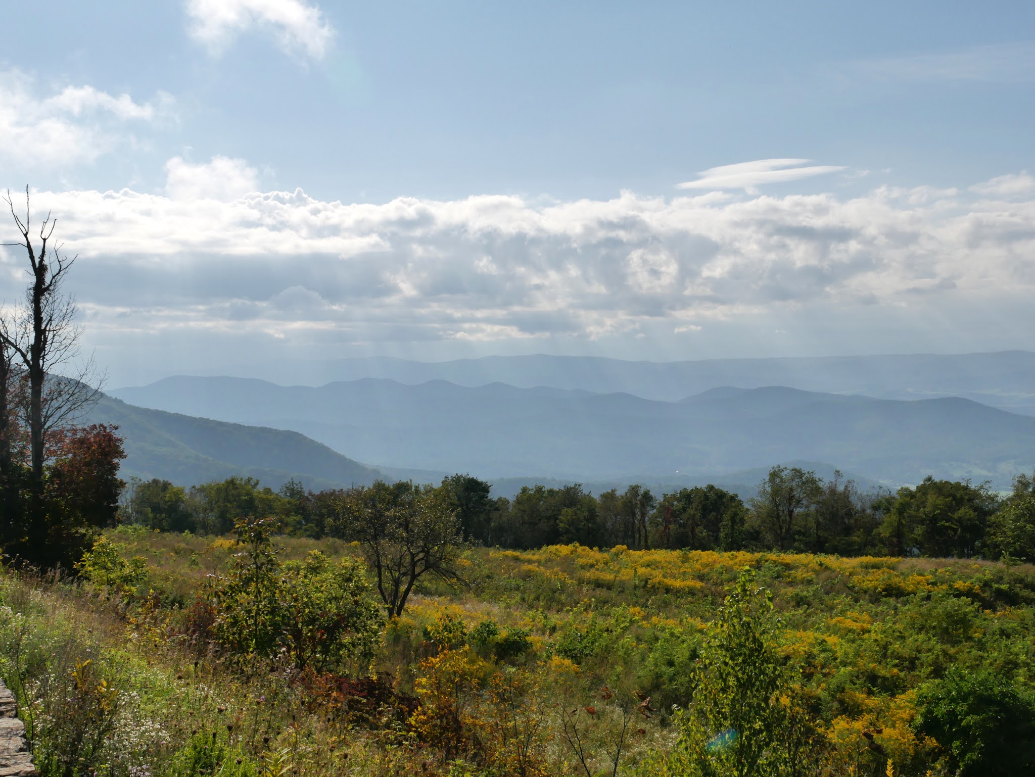 American Travel Journal: Swift Run Gap to Thornton Gap - Skyline Drive ...