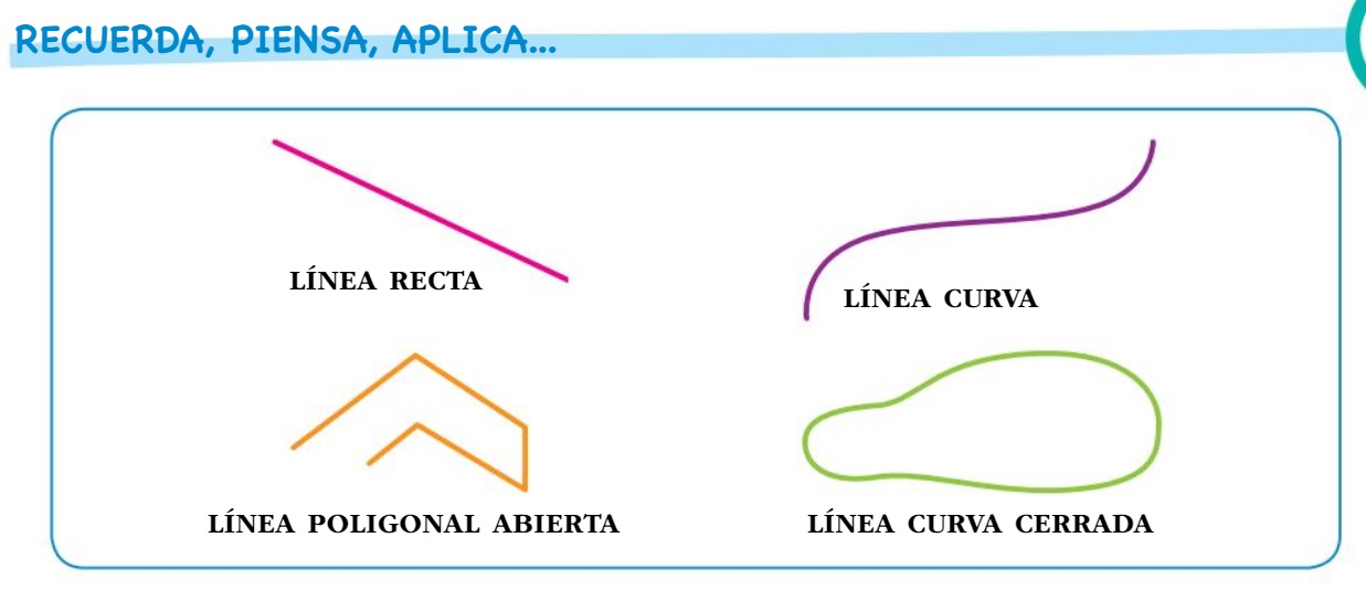 Matemáticas 3º primaria: TIPOS DE LÍNEAS Y TIPOS DE RECTAS