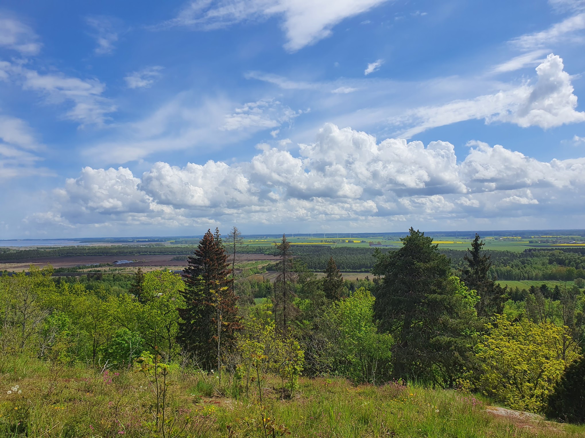 Team Vildmark: Vandring Omberg runt