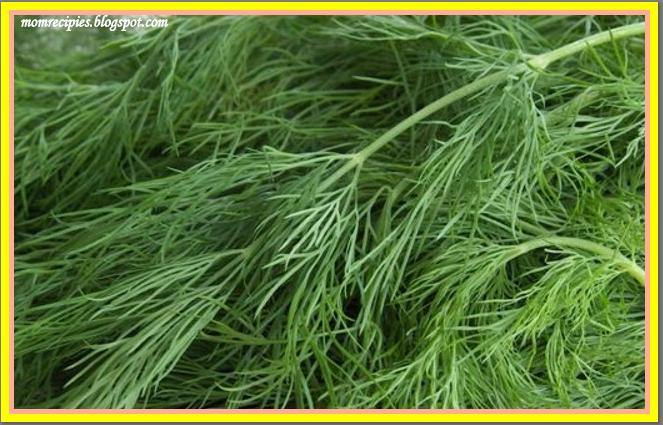 Mom's Recipies: Shepu Bhaaji ( Dill Curry )