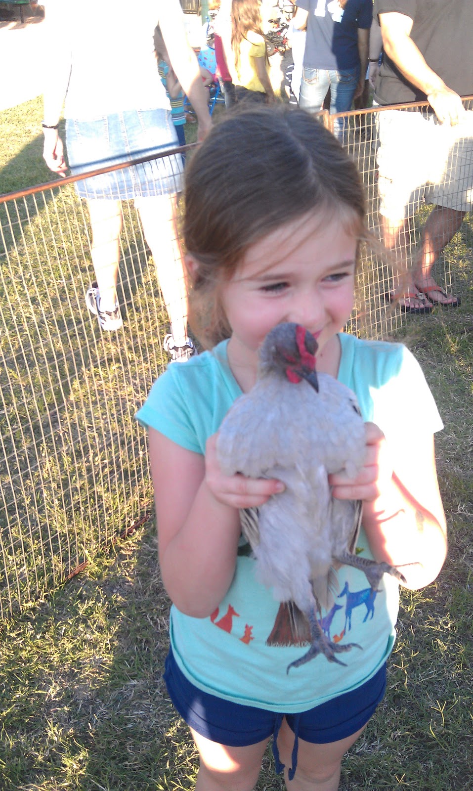 The Adventures of Amelia Eleanor