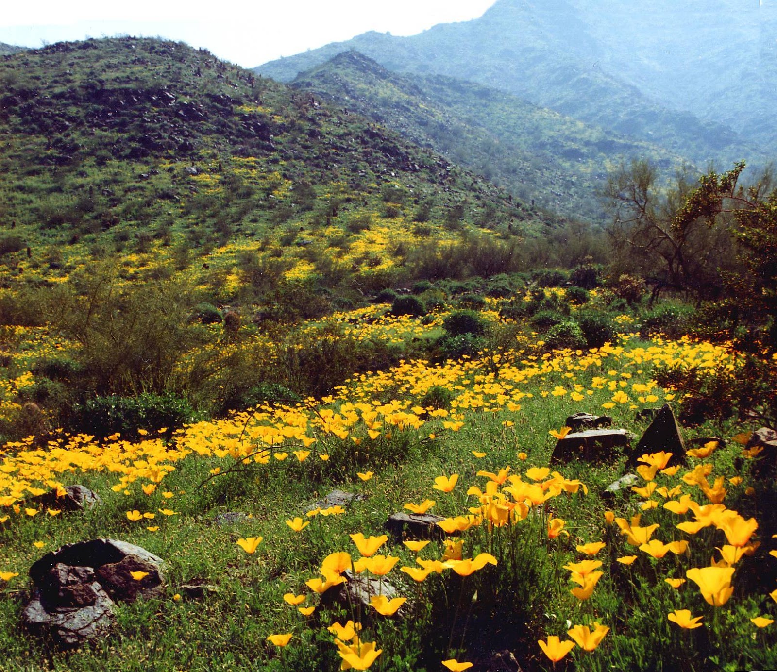 Arizona, USA - Travel Info & Tourist Attractions - Exotic Travel ...