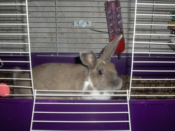 Chef James Tolin: Who is James Tolin?