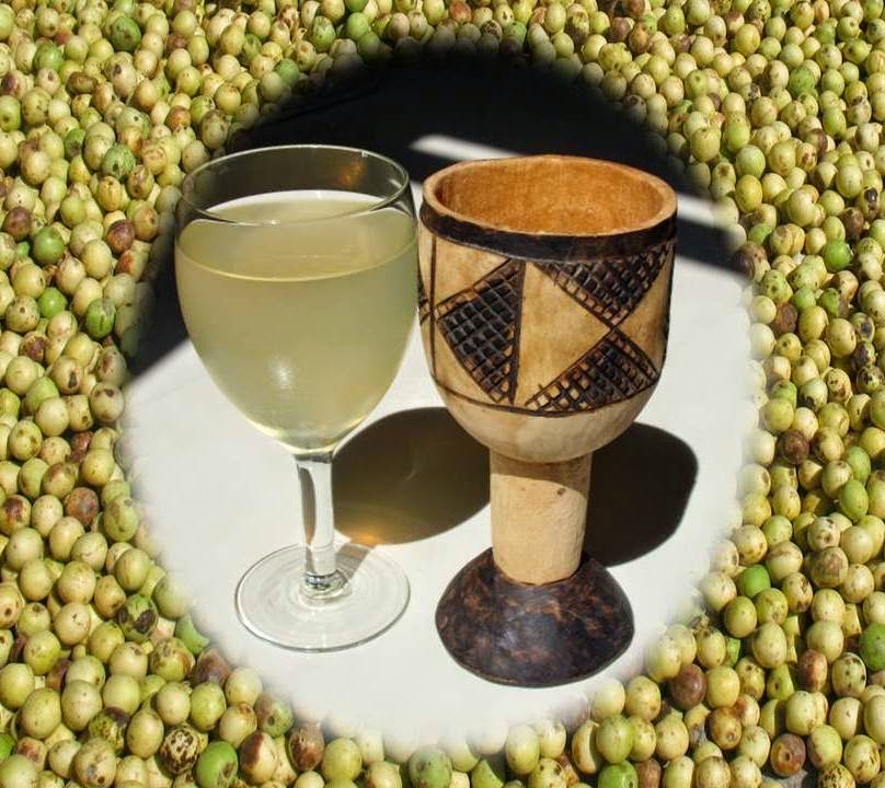 Hedgie's Nature Journal : Food from trees - Marula