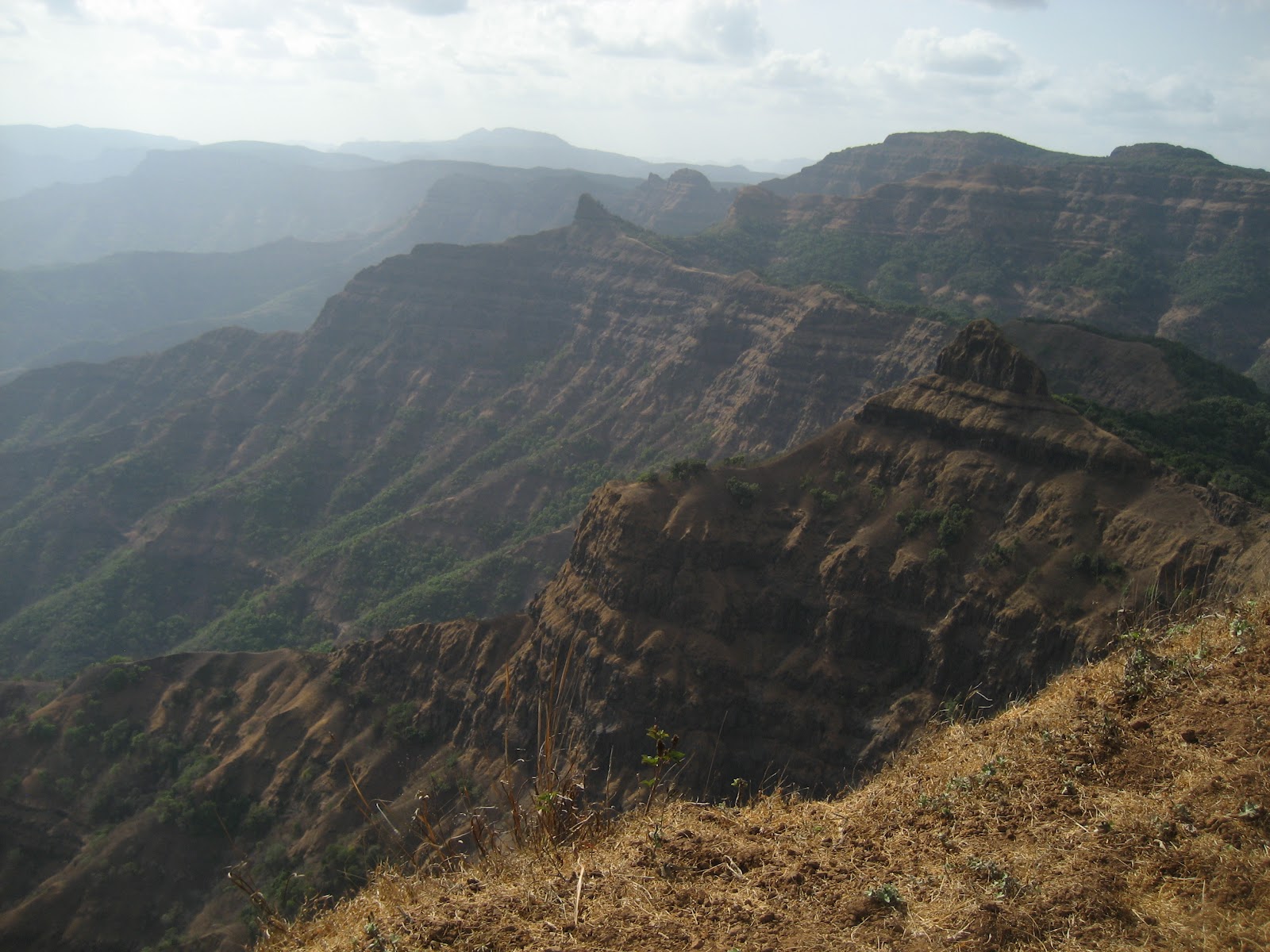 On the Edge of Sahyadris: June 2012