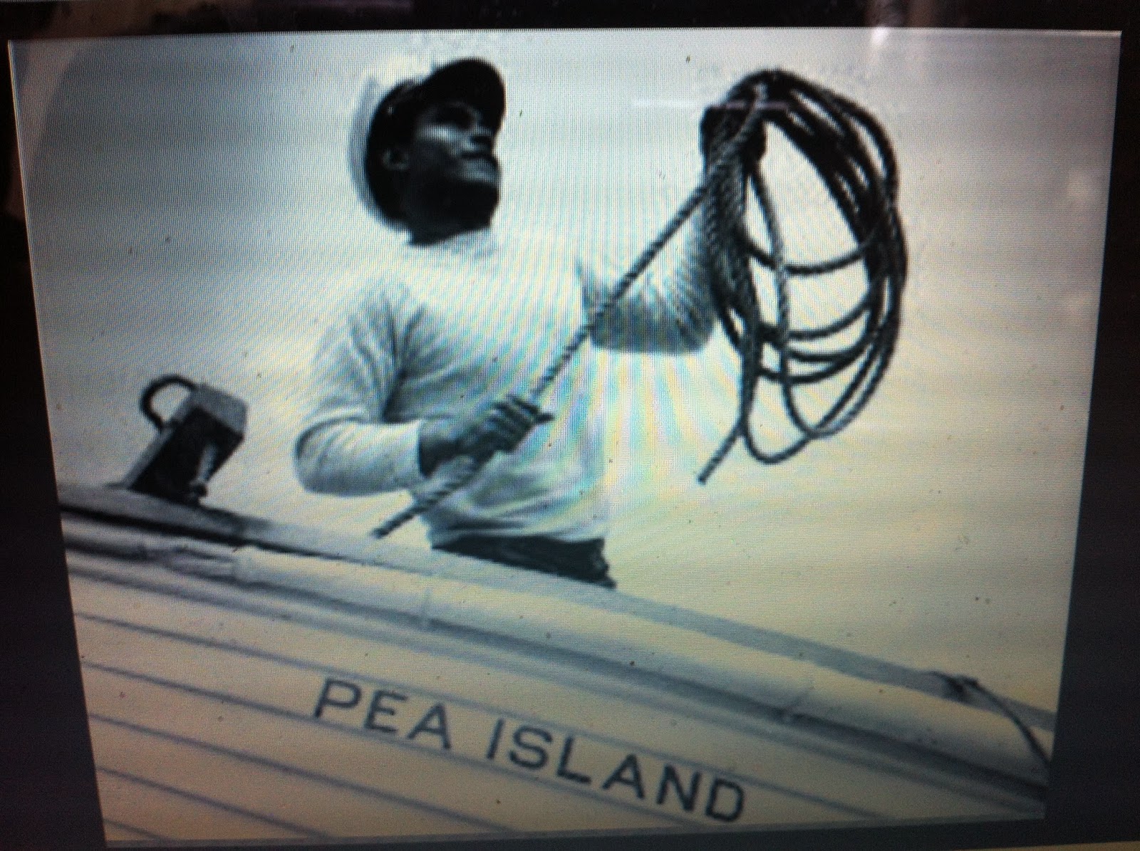 THE BLACK SOCIAL HISTORY:: BLACK SOCIAL HISTORY : AFRICAN AMERICAN ...