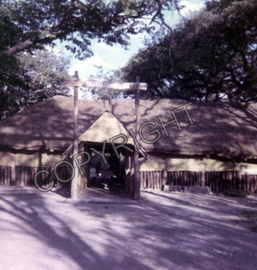 Born Warriors: Brothers in Arms