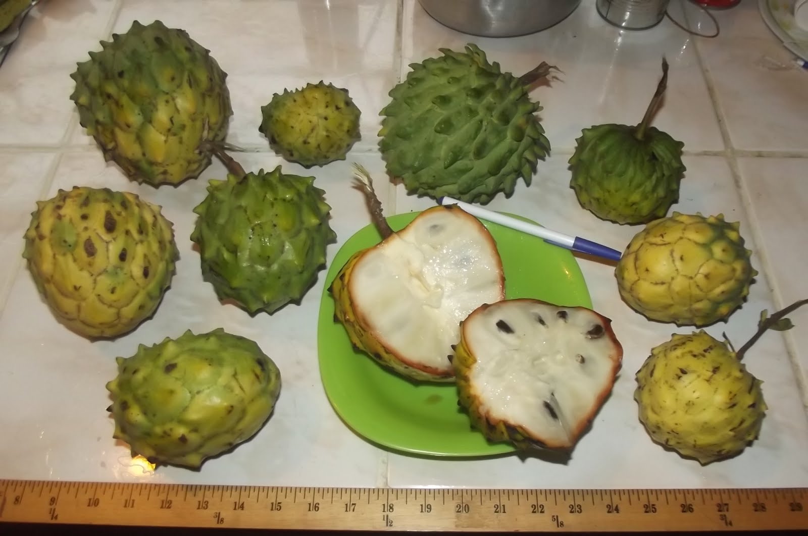 Thede Connection- HAITI/Zambia: Biriba seeds and planting coconuts.