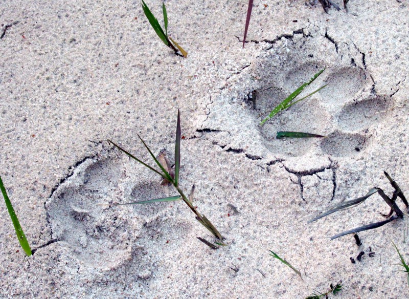 Hike the Cederberg: the Map: 2013