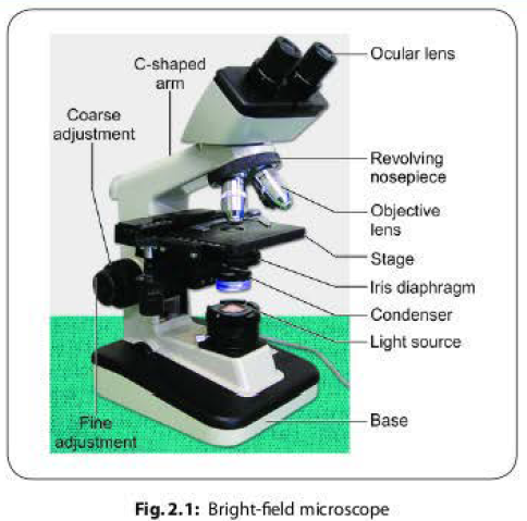 Microscopy in Microbiology : Different Types of Microscopes