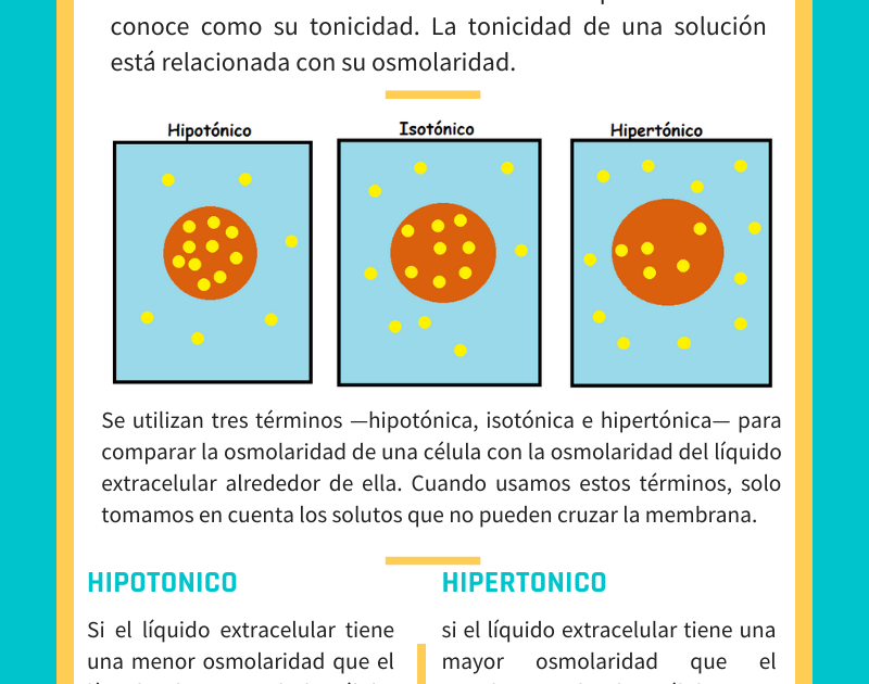 UNIVERSIDAD AUTONOMA DE SINALOA - FACULTAD DE MEDICINA: Osmolalidad Y ...