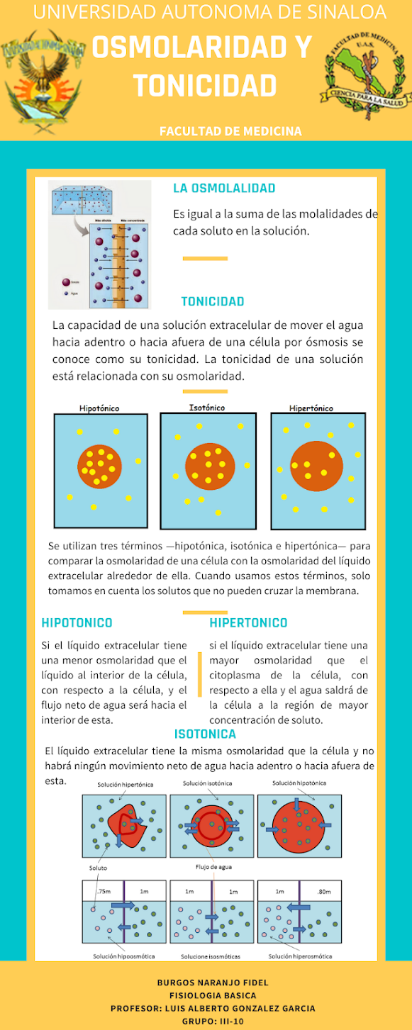 UNIVERSIDAD AUTONOMA DE SINALOA - FACULTAD DE MEDICINA: Osmolalidad Y ...