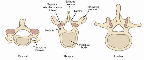 Personalised yoga, teacher training, movement therapy, and mindful ...