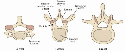 Personalised yoga, teacher training, movement therapy, and mindful ...