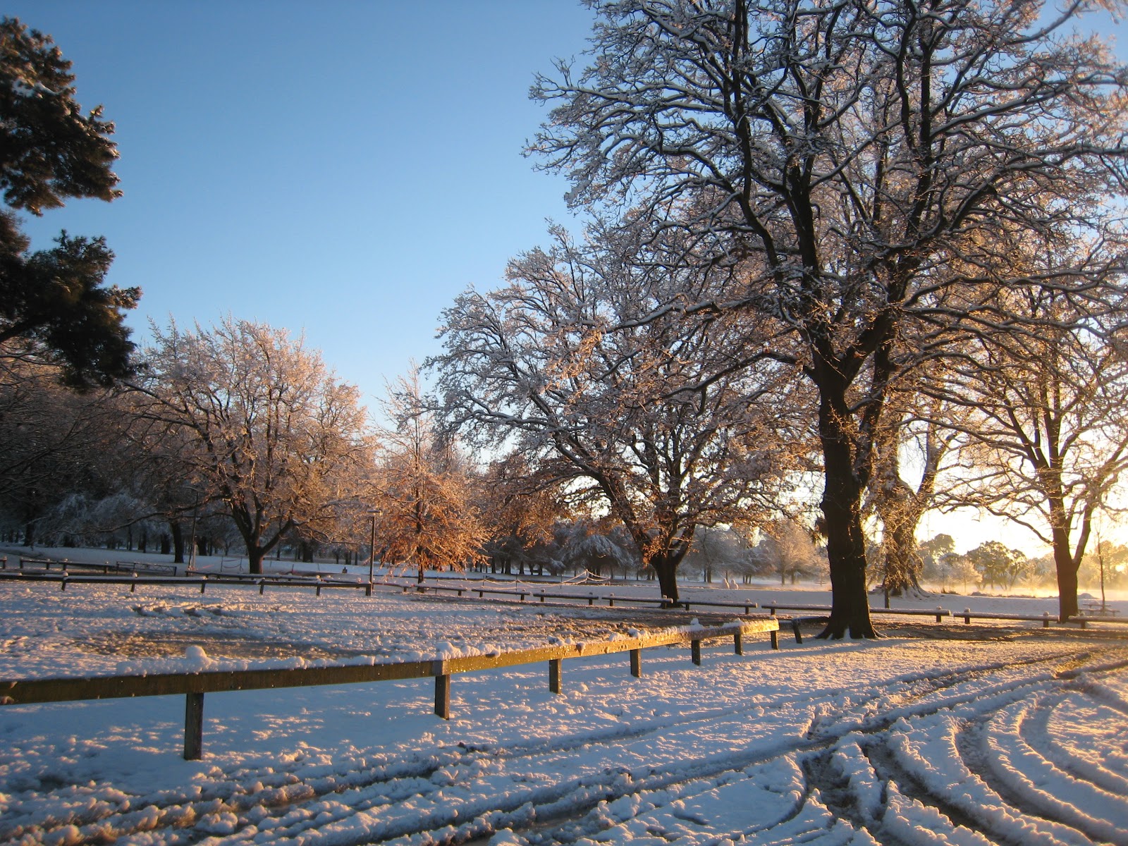 lynwaho: Hagley Park, central Christchurch, morning after snow.