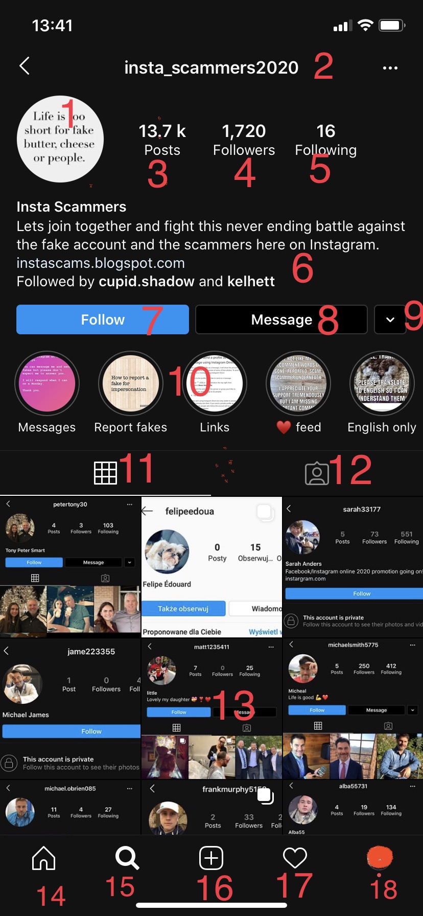 InstaScams: Parts of an Instagram profile.