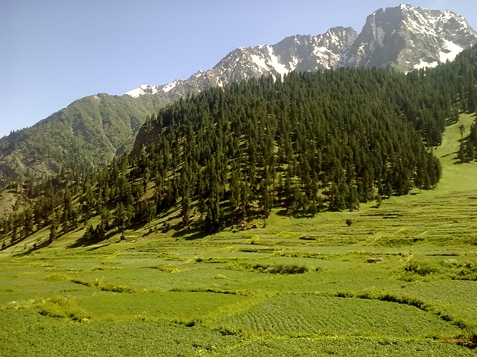"Ghizer District" Beauty of Pakistan