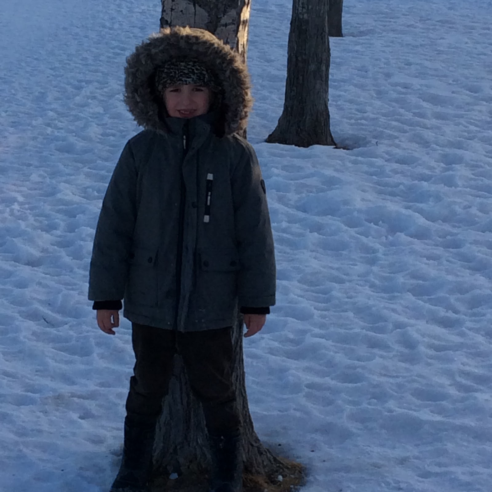 Ms. Lang: January 2020