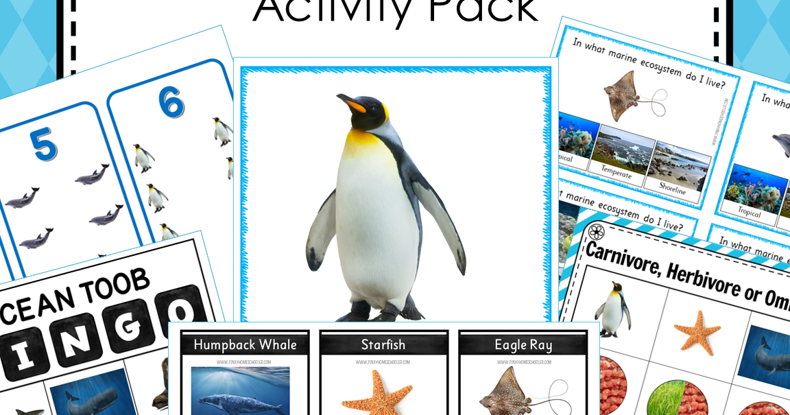 The Pinay Homeschooler: Safari Toob Ocean Printable Activity Pack