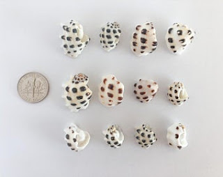 Lose Sight Of Your Shore