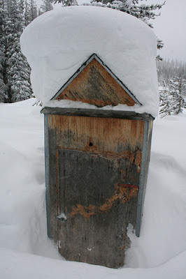 Ski House of the Day: Snow Survey Cabin